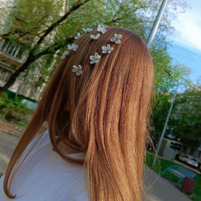 Telegram channel "୨Полярная звезда୧" — @jisatsu_star — TGStat