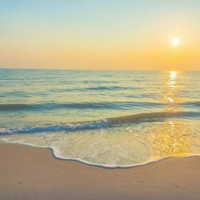 Telegram channel "+18" — @link_18s — TGStat