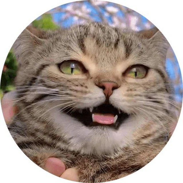 Telegram-канал "🐝 Teaching buzz" — @teachingbuzz — TGStat